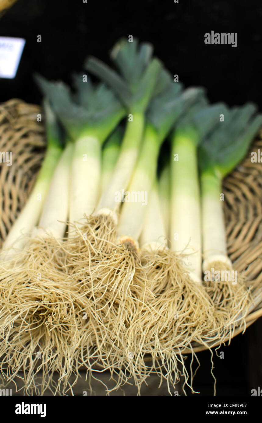 Display fresh leeks farm hi-res stock photography and images - Alamy