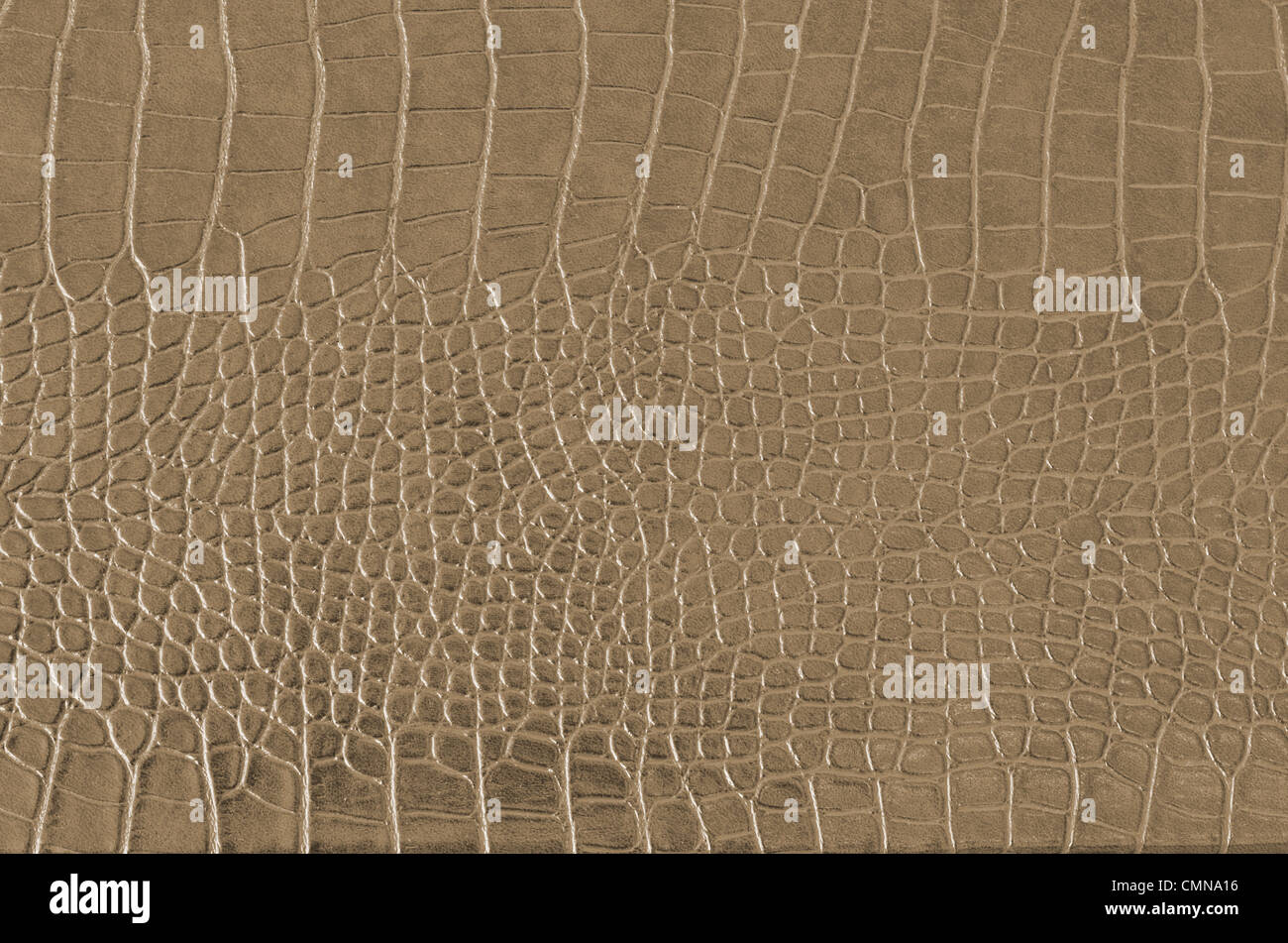Crocodile Skin Pattern , Alligator skin seamless texture Stock Photo ...