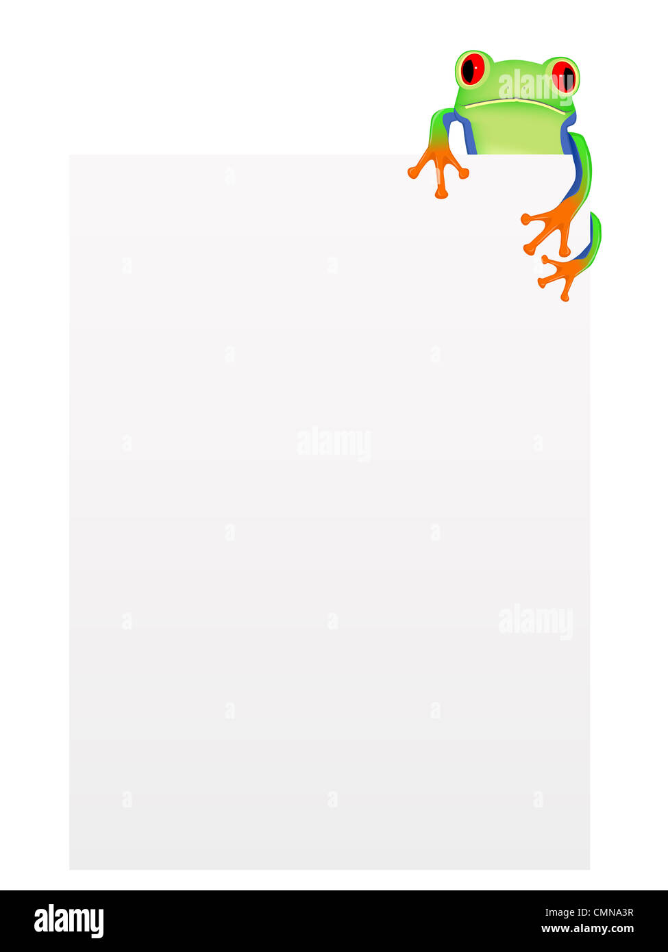 Red eyed tree frog with blank background Stock Photo - Alamy