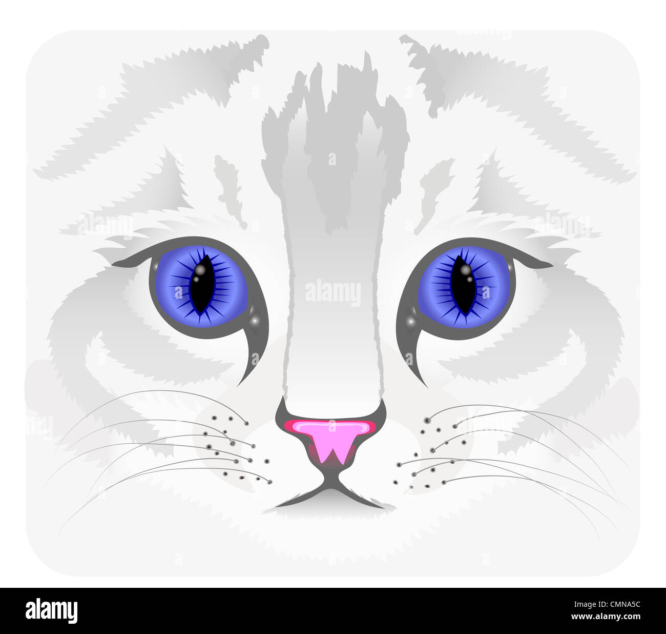 Close up of cat face Stock Photo - Alamy