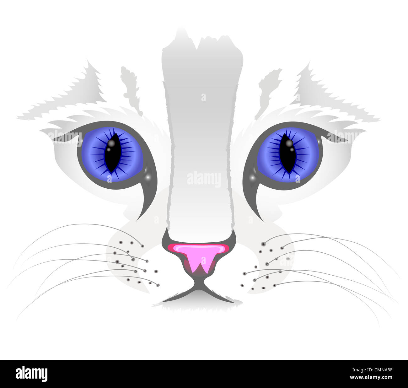 Cat and symmetry Cut Out Stock Images & Pictures - Alamy