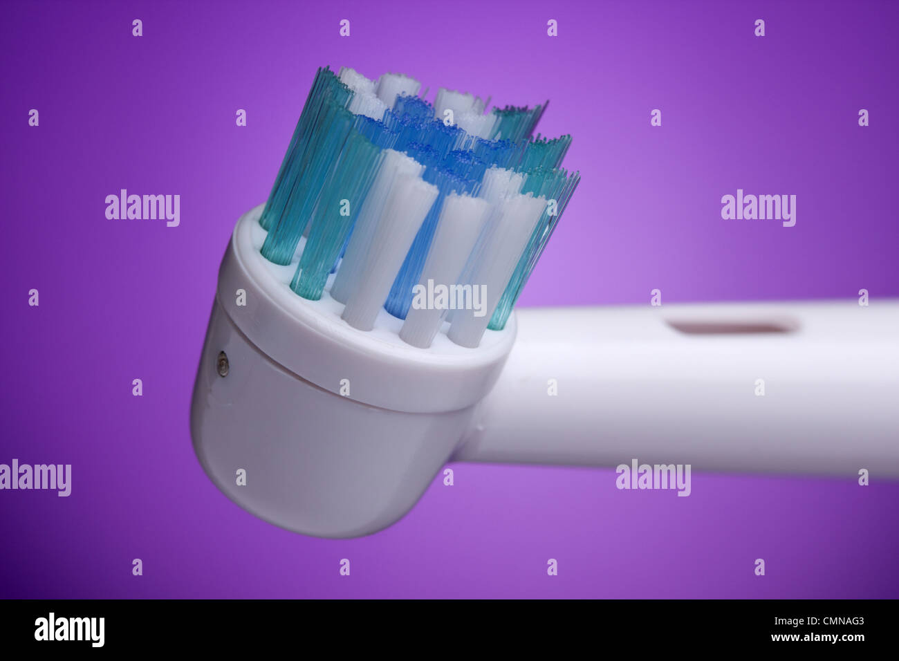 Head of an electric toothbrush against contrasting purple background ...