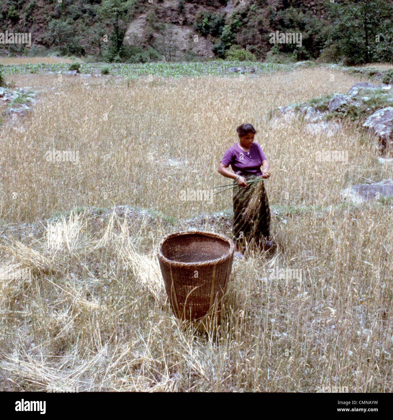 Helambu Circuit High Resolution Stock Photography and Images - Alamy