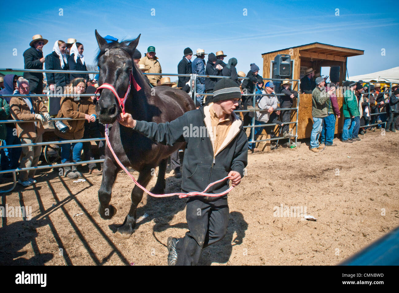 Lancaster County PA Pennsylvania USA Amish farmer, spring mud sale ...
