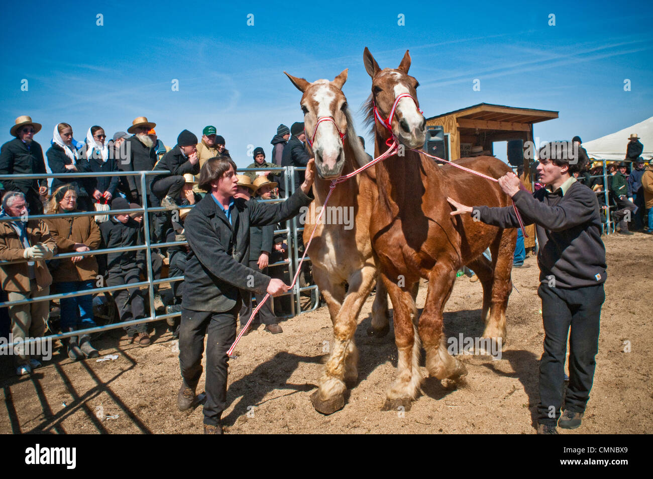 Lancaster county pennsylvania usa amish farmer spring mud sale auction ...