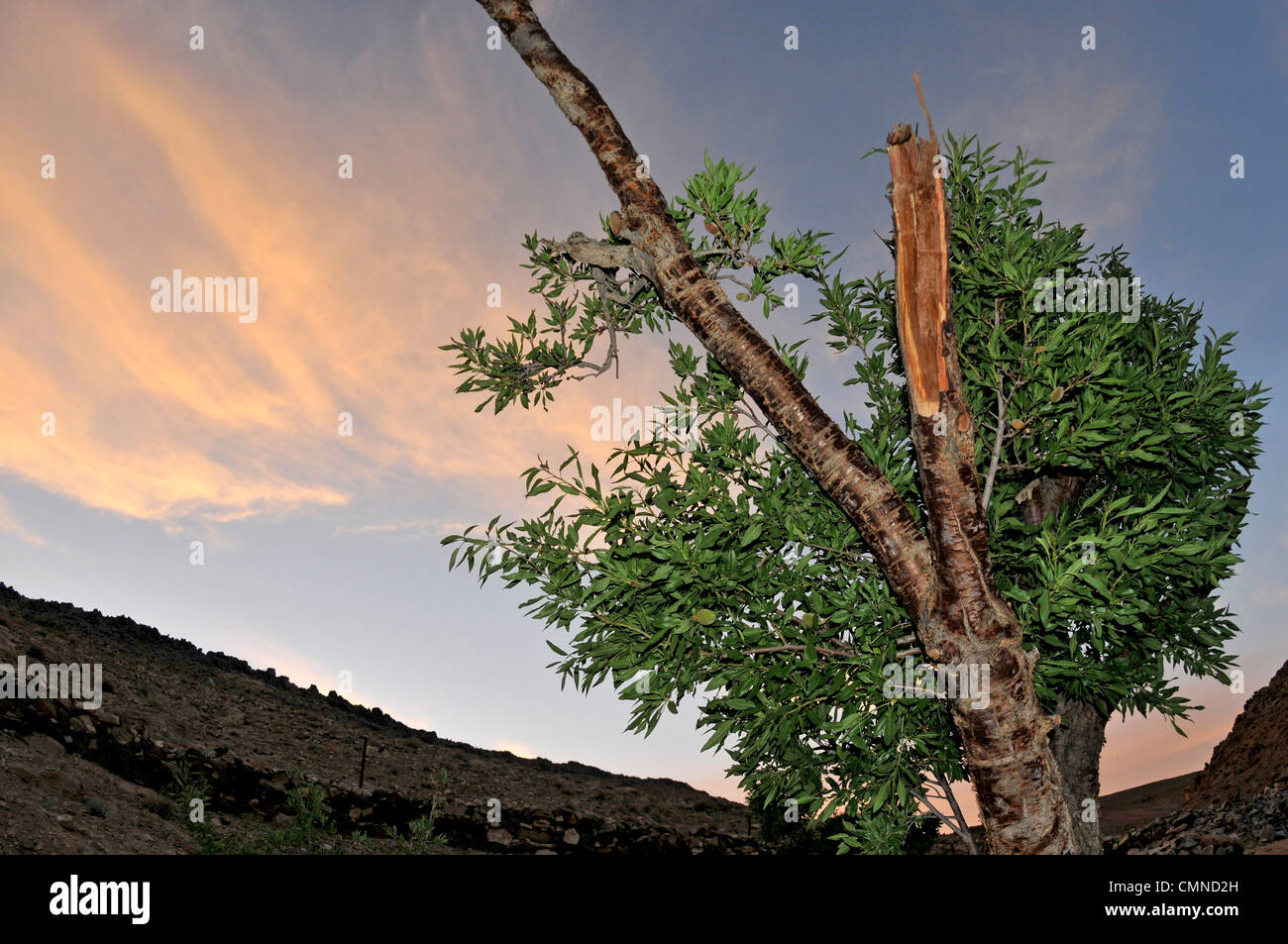 Harsh desert sun hi-res stock photography and images - Alamy