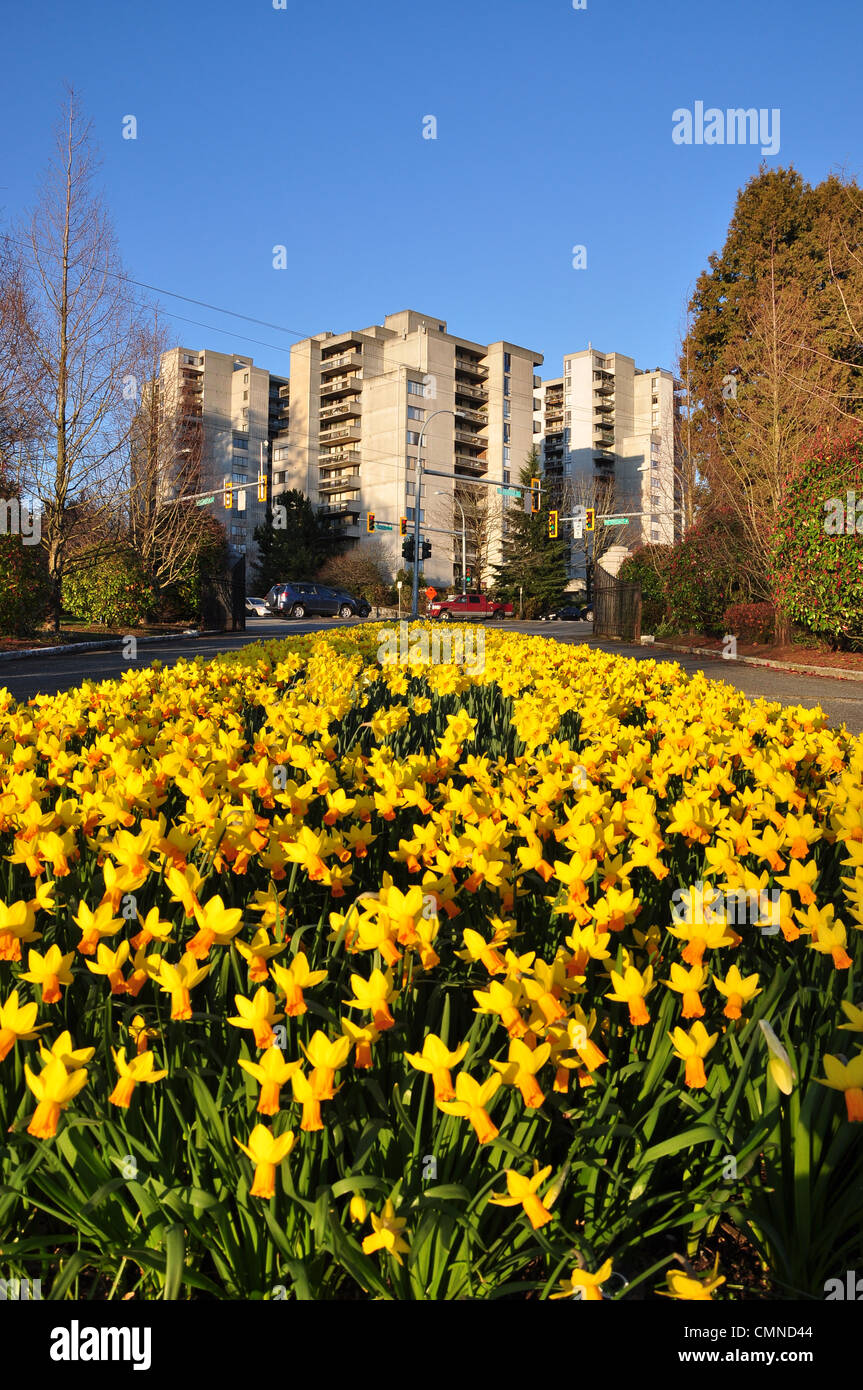 City life and nature hi-res stock photography and images - Alamy