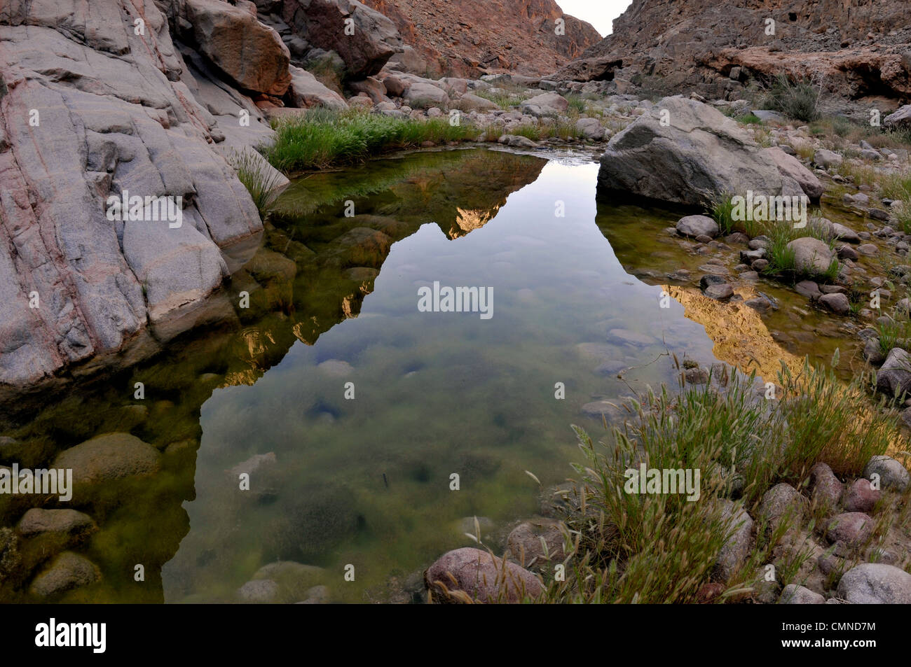 Water hole in the desert Stock Photo - Alamy