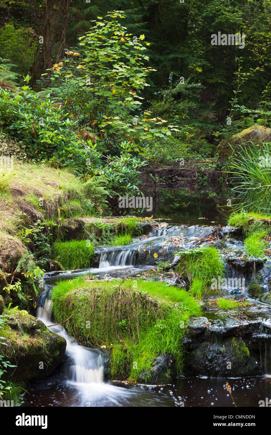A woodland stream over rocks Stock Photo - Alamy