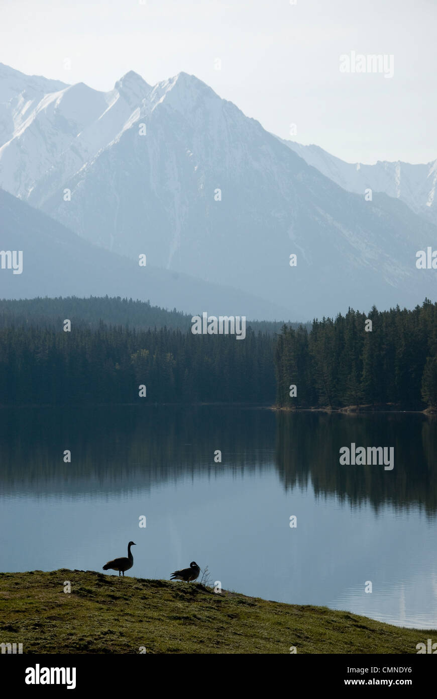 Johnson lake canada hi-res stock photography and images - Alamy