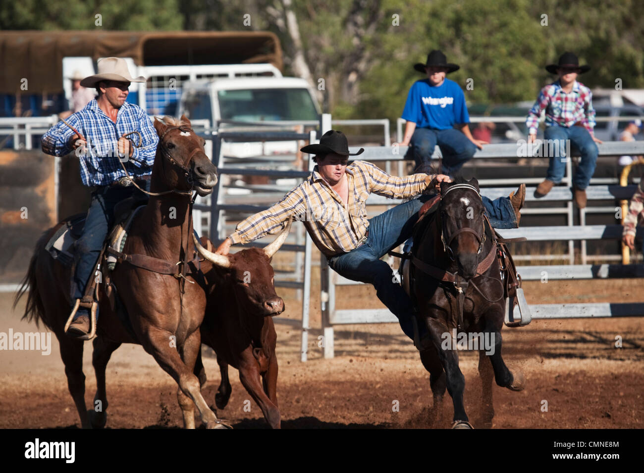 Cowboy steer wrestling bulldogging is rodeo event hi-res stock ... Cowboy steer wrestling bulldogging is rodeo event hi-res stock ...