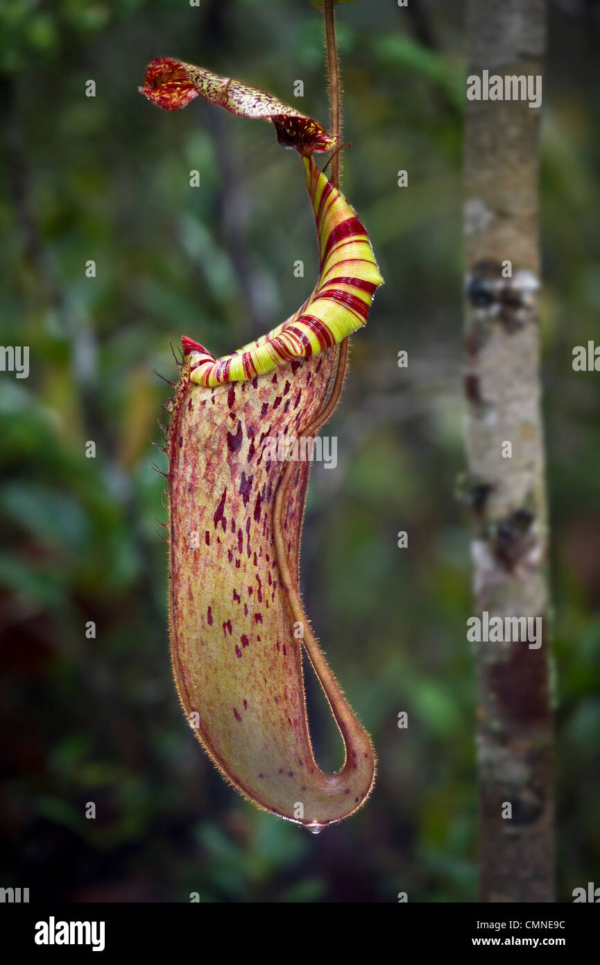 Basin hi-res stock photography and images - Alamy