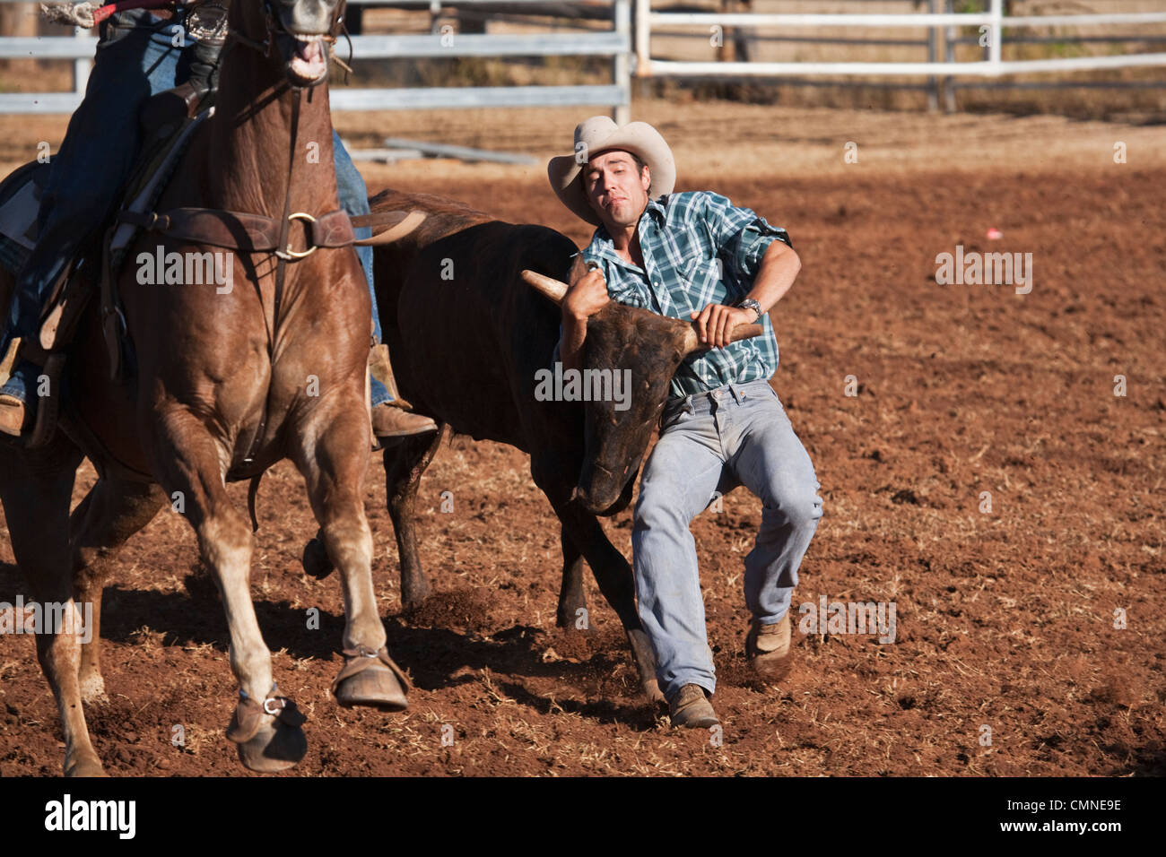 Cowboy steer wrestling bulldogging is rodeo event hi-res stock ...
