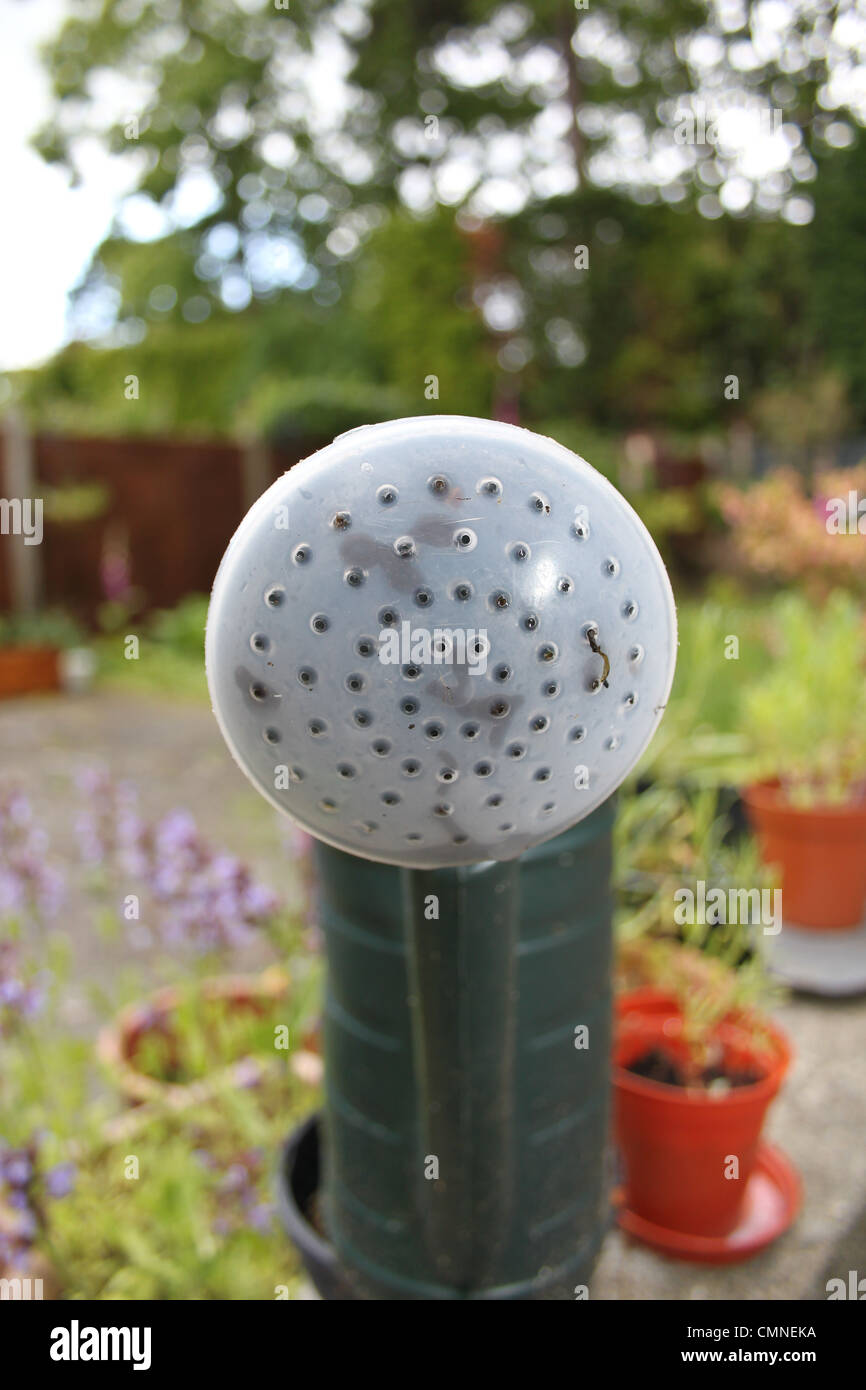 close up of a watering can Stock Photo - Alamy
