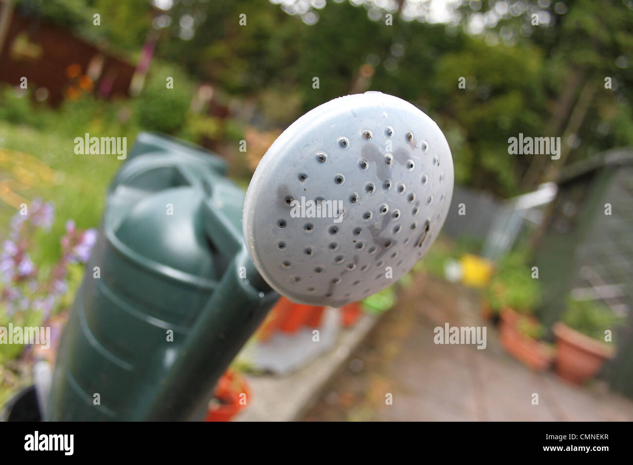 close up of a watering can Stock Photo - Alamy