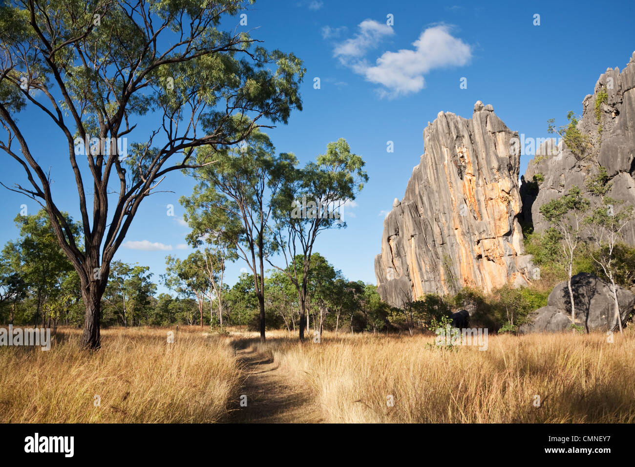 Karst scenery of the Chillagoe-Mungana Caves National Park. Chillago ...