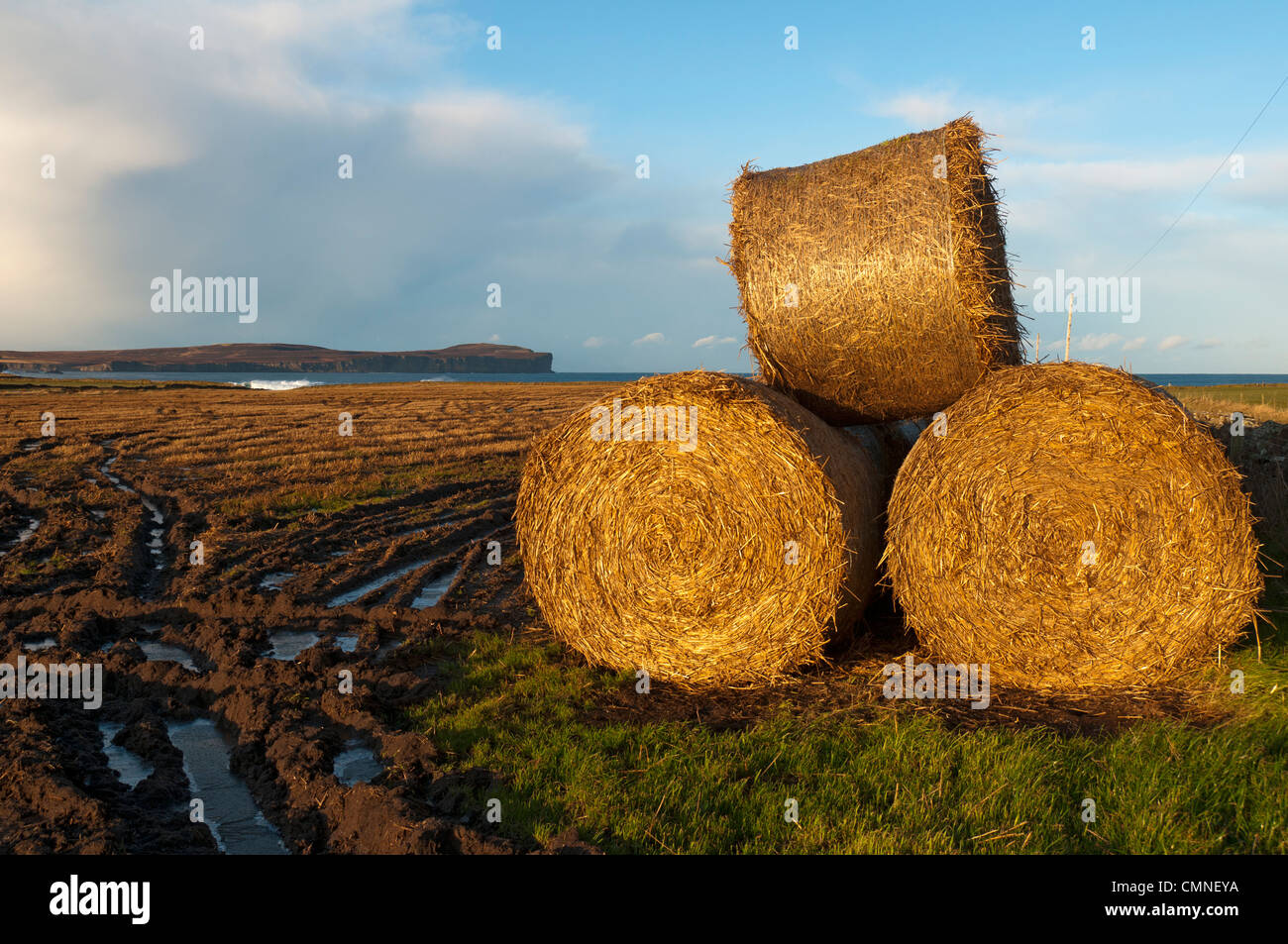 Dunnet Head, the most northerly point of the UK mainland, seen from a ...