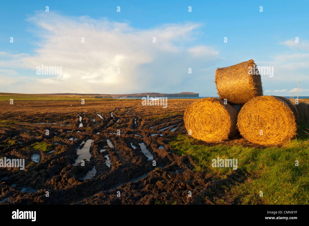 Dunnet Head, the most northerly point of the UK mainland, seen from a ...