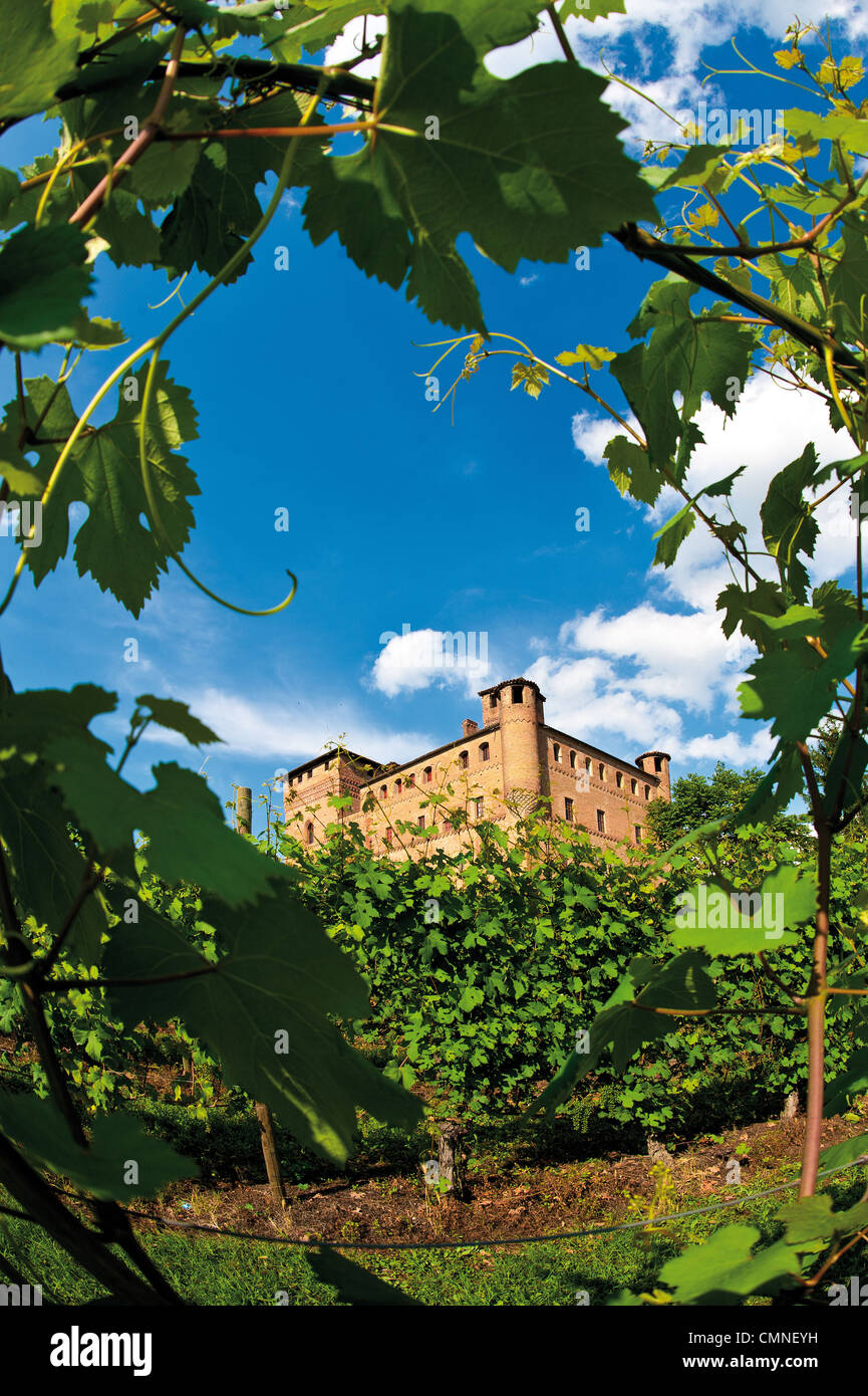 Piedmontese regional enoteca cavour and langhe museum hi-res stock ...