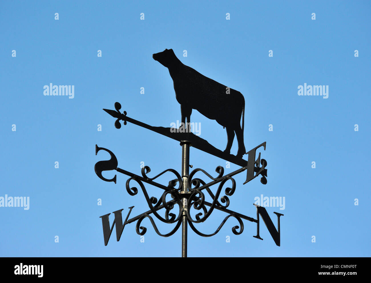 Cow weathervane. NFU Mutual Building, Shap Road, Kendal, Cumbria ...