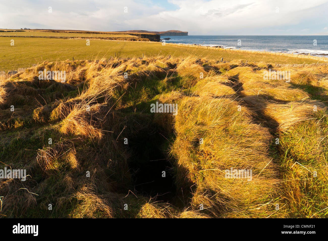 Dunnet Head from a prehistoric chambered cairn near Ham, Caithness ...