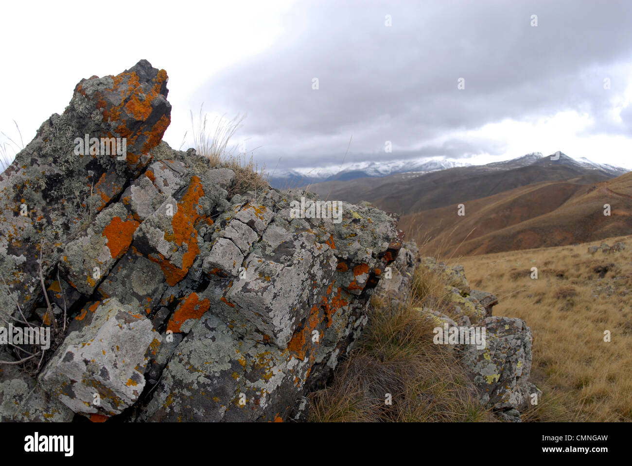 A ancient moss covered stone on a harsh barren landscape Stock Photo ...