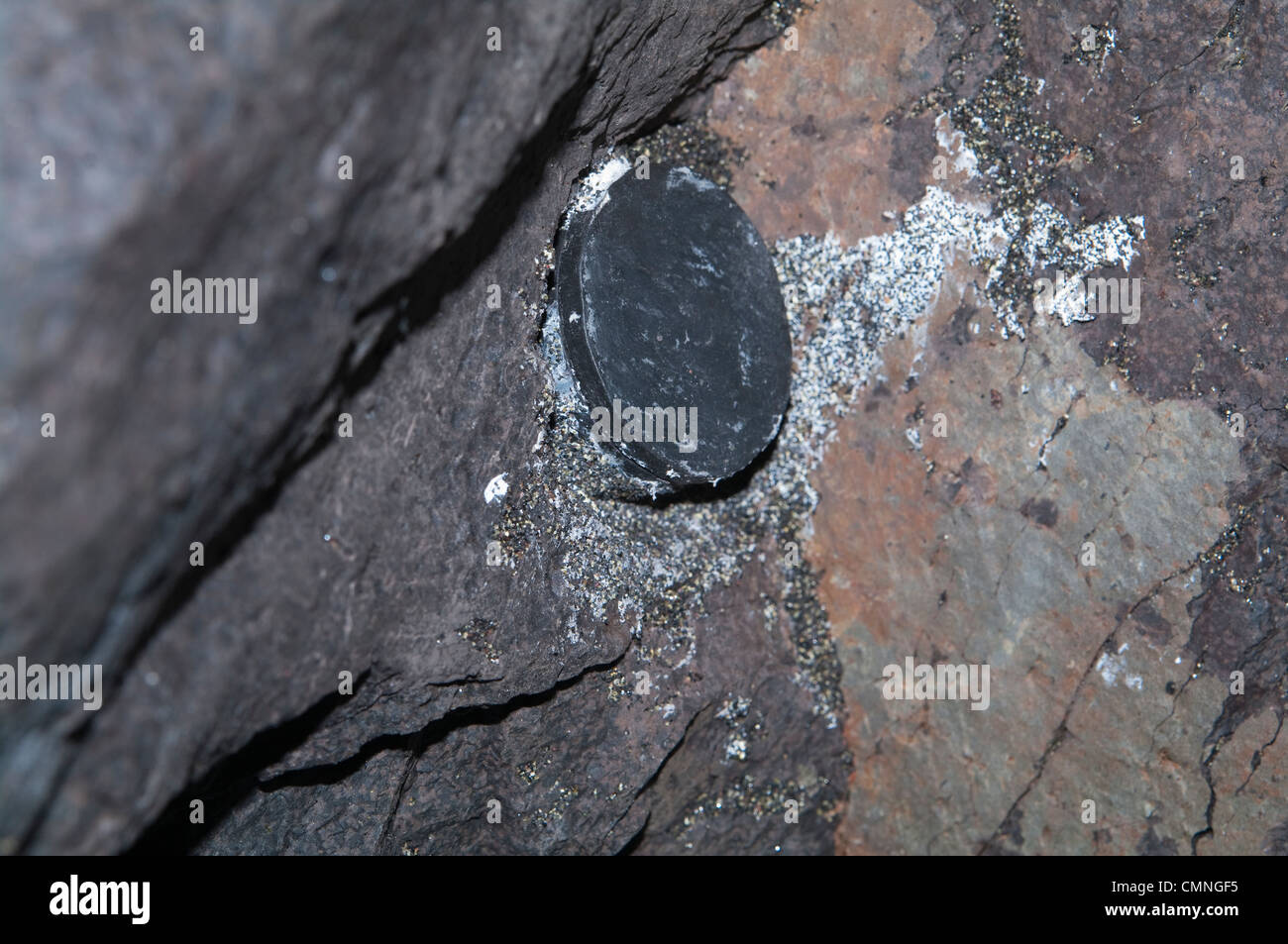 Geocaching geo cache hi-res stock photography and images - Alamy
