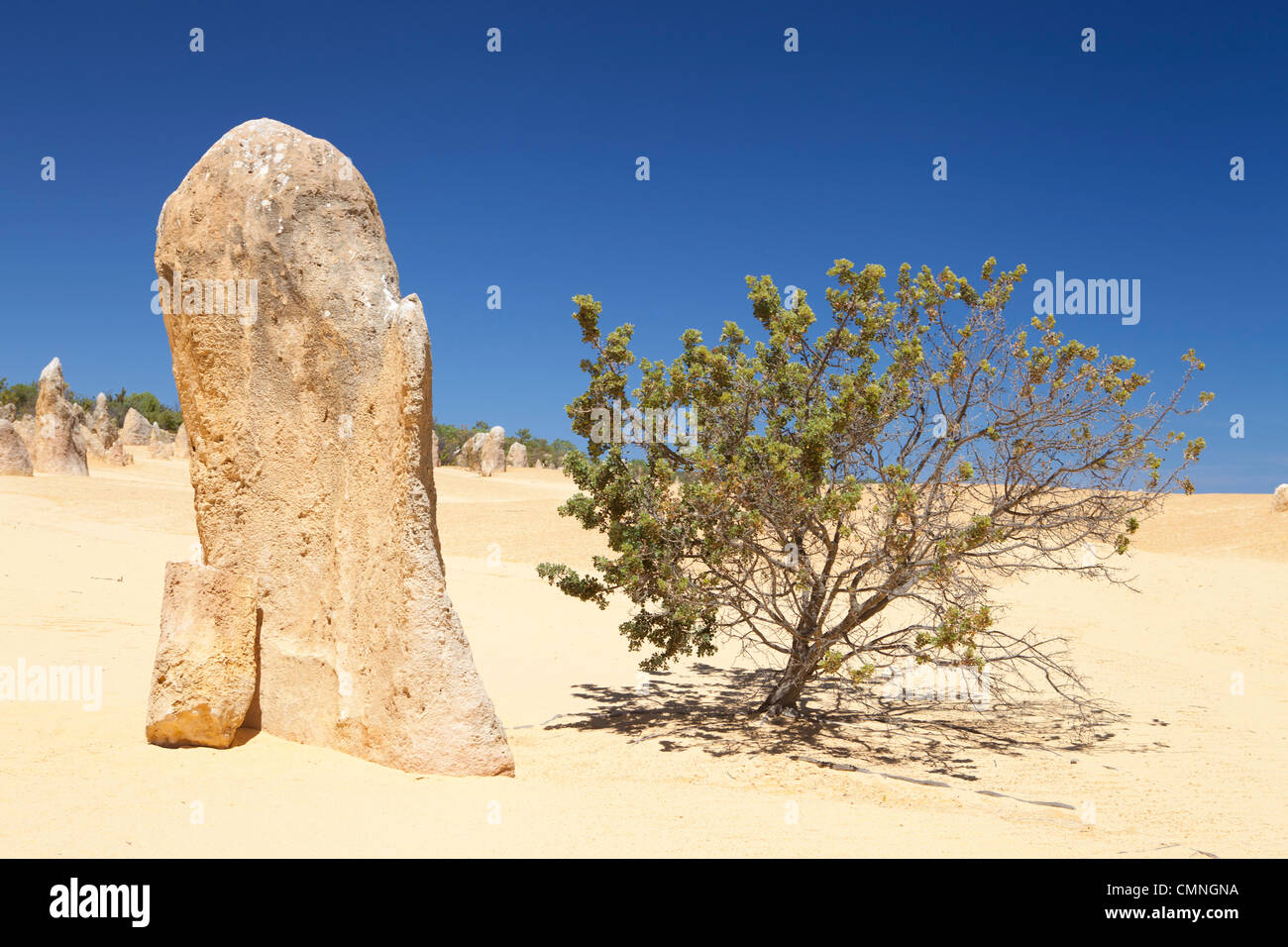 The Pinnacles Desert on the 'Indian Ocean Drive', Western Australia ...