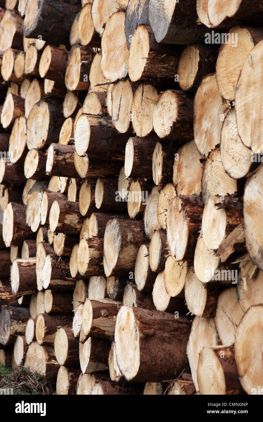 Stacks of timber hi-res stock photography and images - Alamy