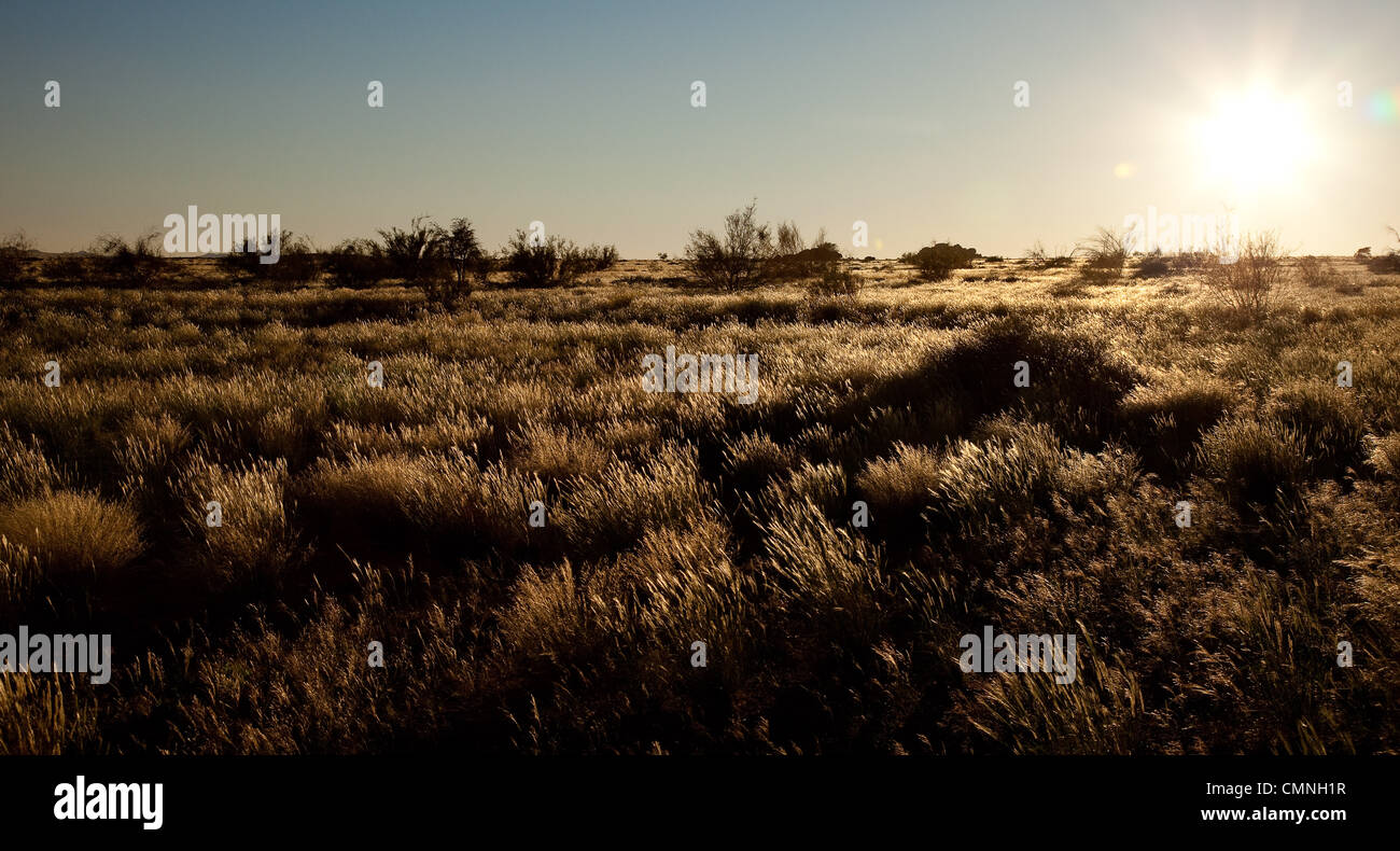 Brandberg namibia hi-res stock photography and images - Alamy