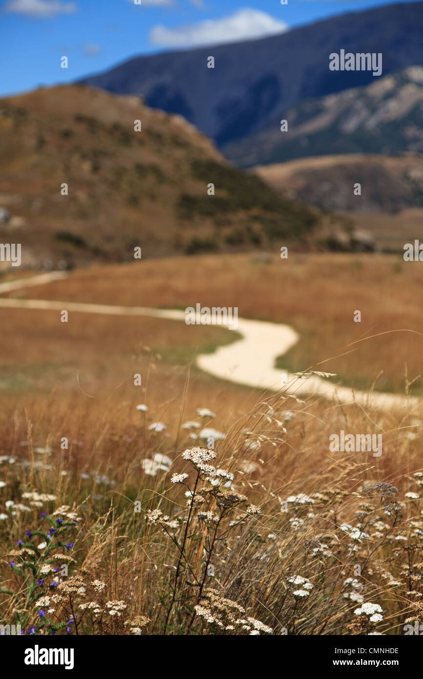 Vertical landscape shot of path leading into distance with focus on ...