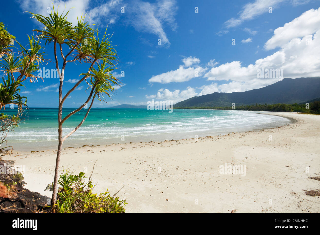 View of Myall Beach. Cape Tribulation, Daintree National Park ...