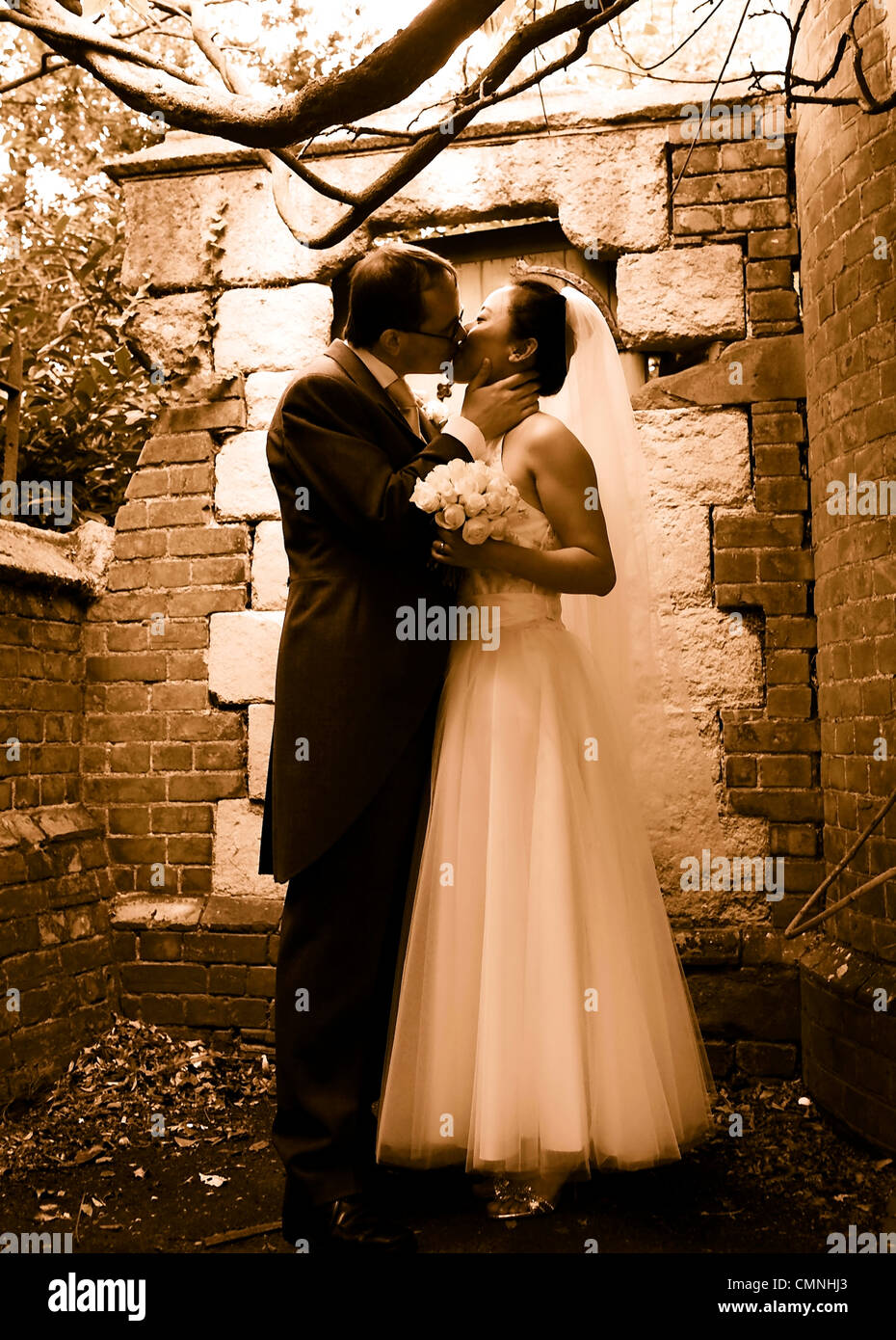 Just married bride and groom are standing and kissing under tree Stock ...