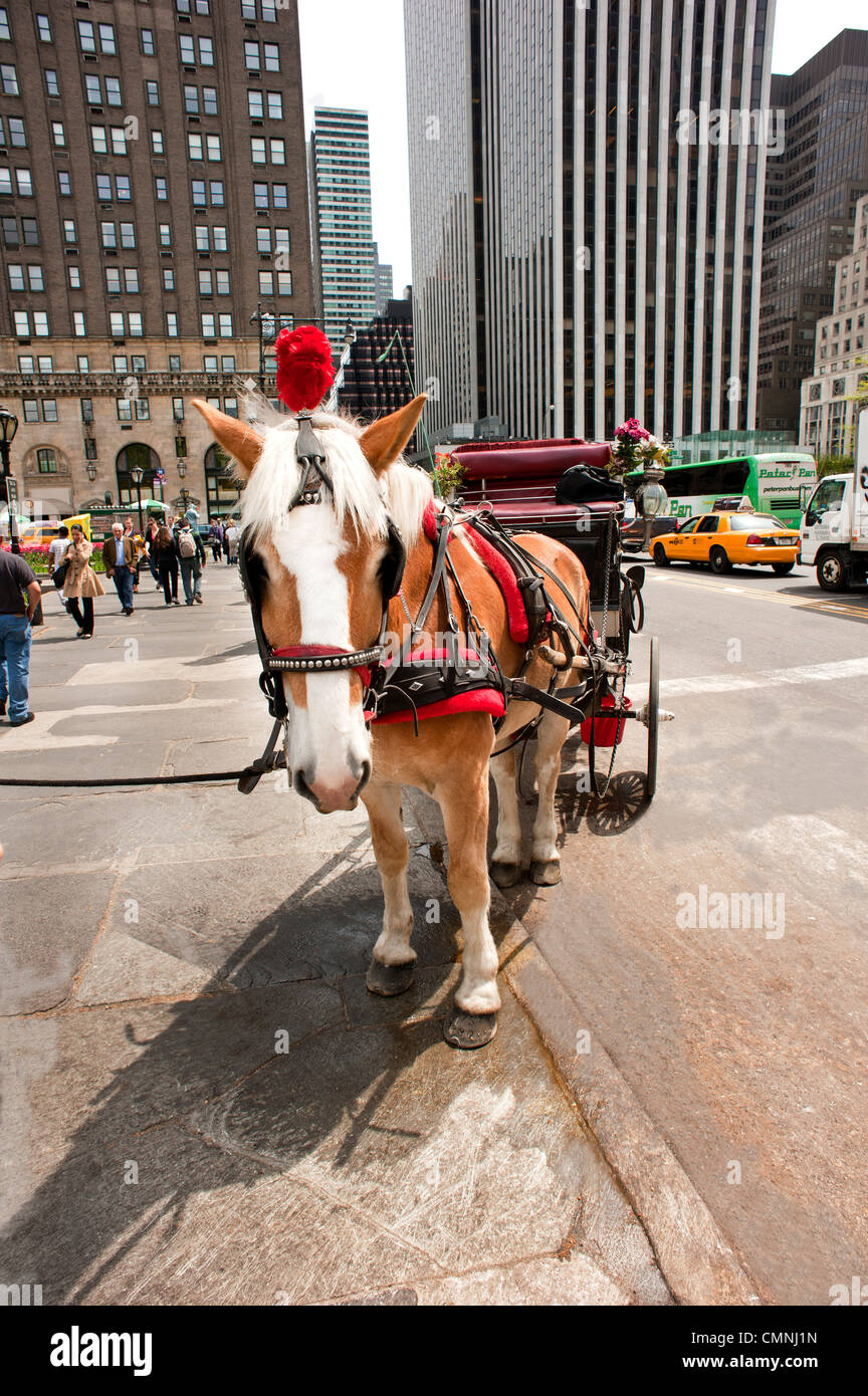 Livery cab nyc hi-res stock photography and images - Alamy