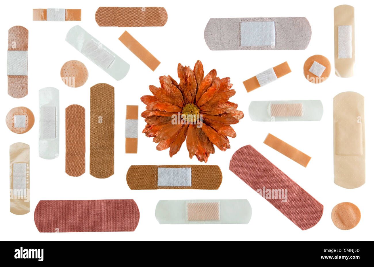 Red Flower surrounded by a variety of Band Aids Stock Photo - Alamy