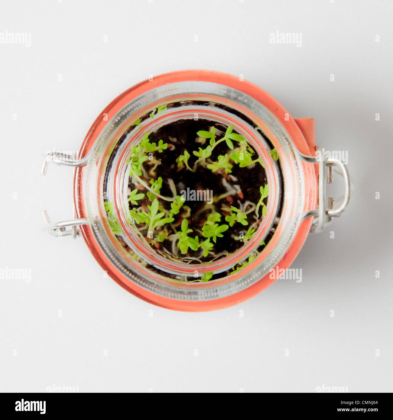 Contain seeds hi-res stock photography and images - Alamy