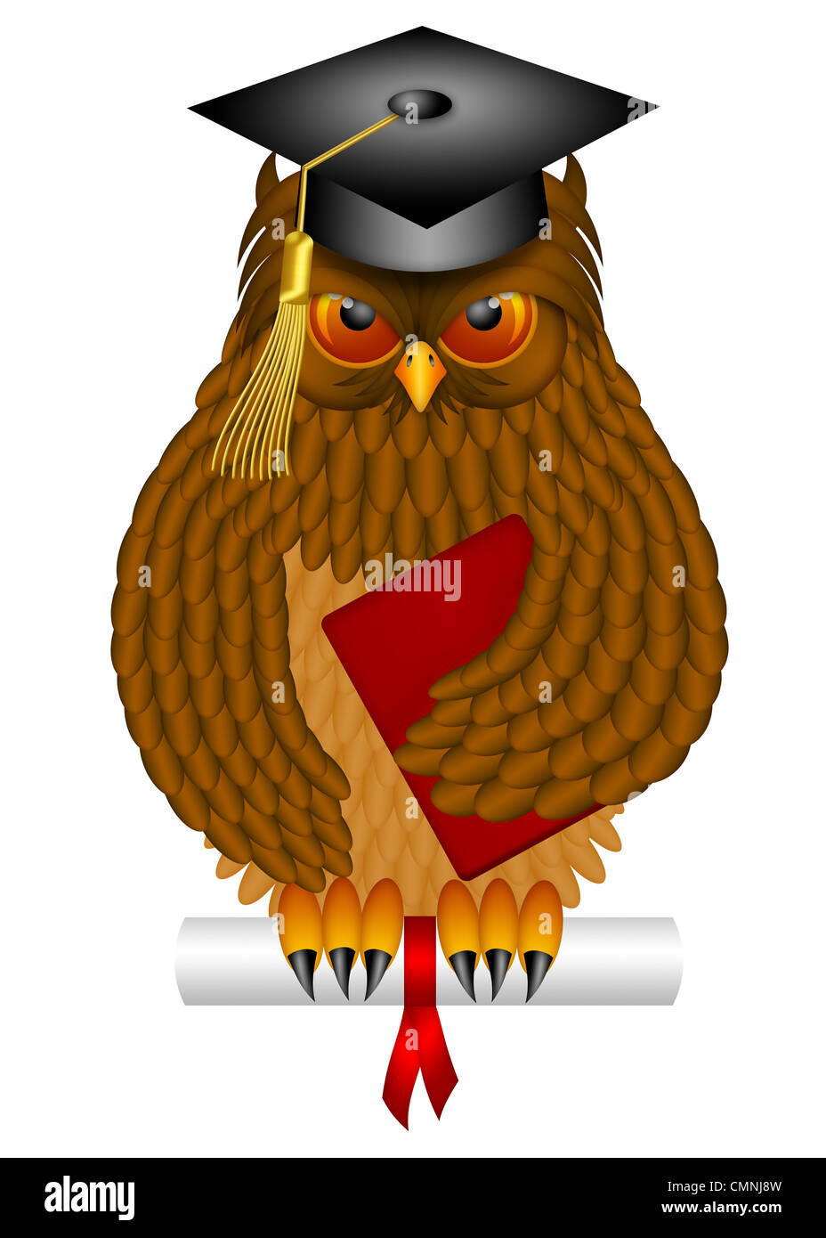 Owl wearing graduation cap hi-res stock photography and images - Alamy