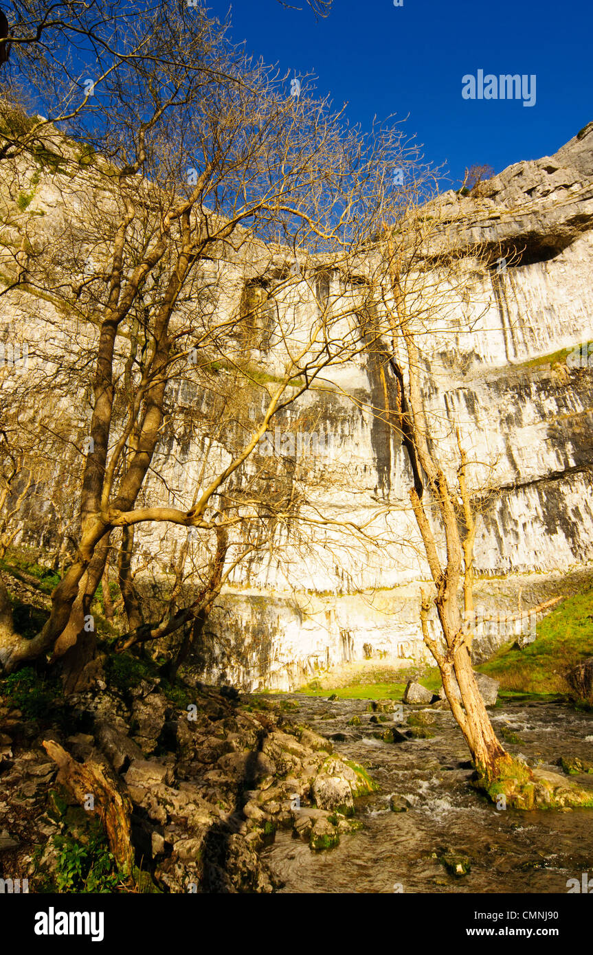 The limestone cliff at Malham Cove in the Yorkshire Dales National Park ...