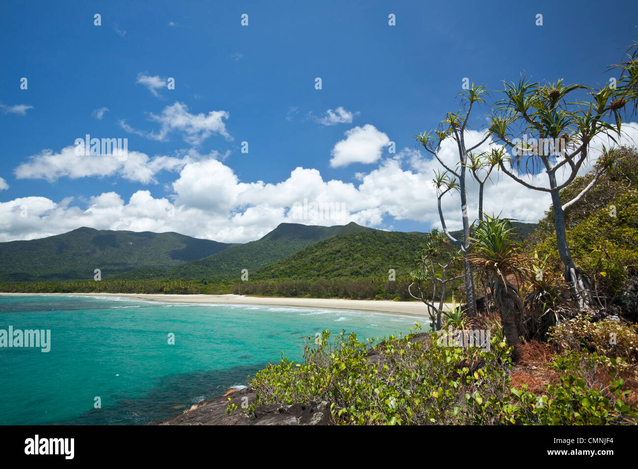 View of Myall Beach. Cape Tribulation, Daintree National Park ...