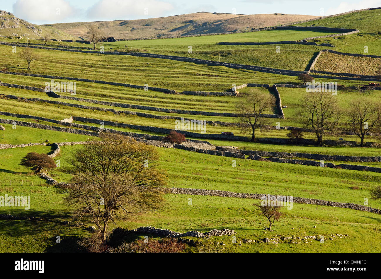 Ancient field patterns near Malham, North Yorkshire Stock Photo - Alamy