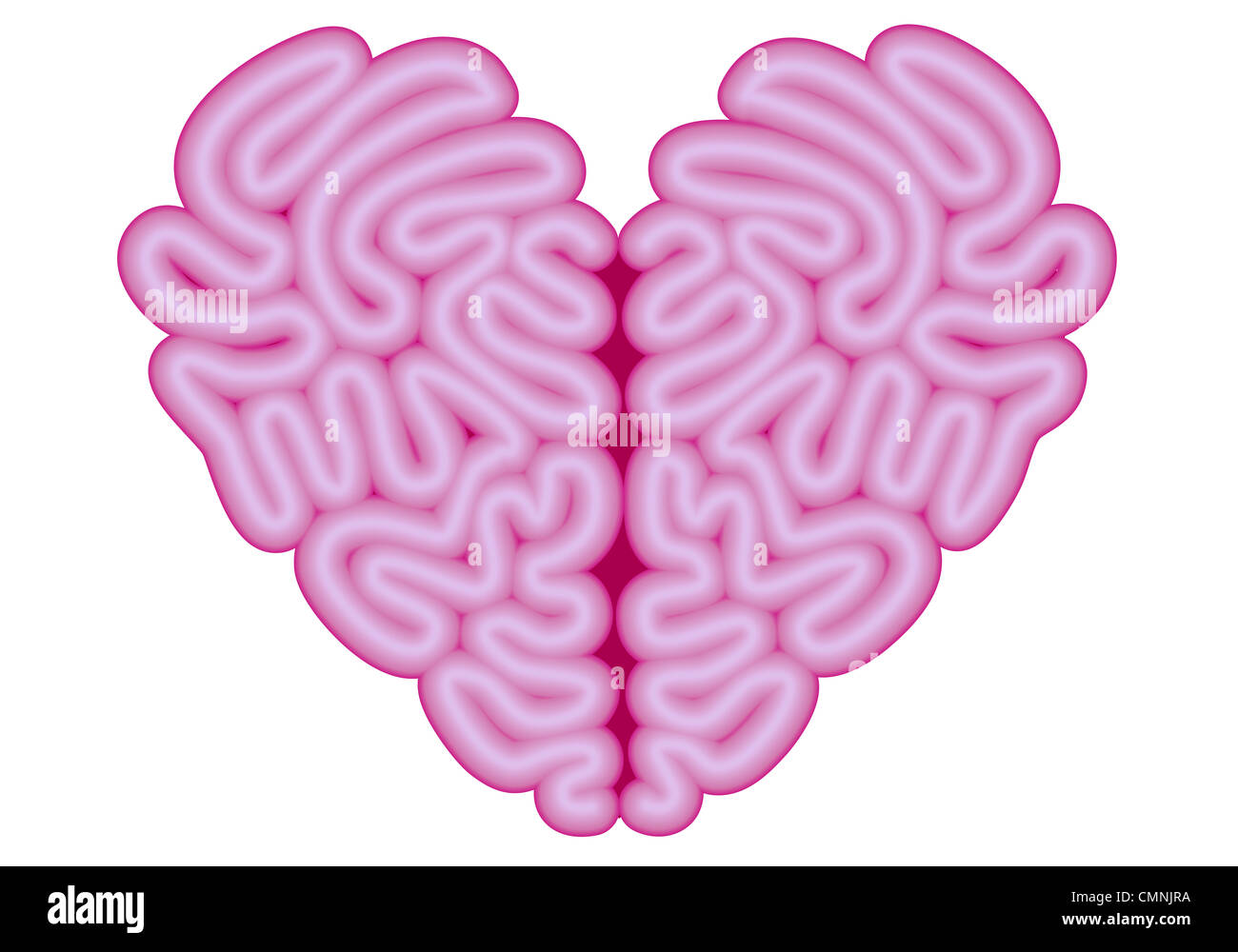 Head and heart balance Cut Out Stock Images & Pictures - Alamy