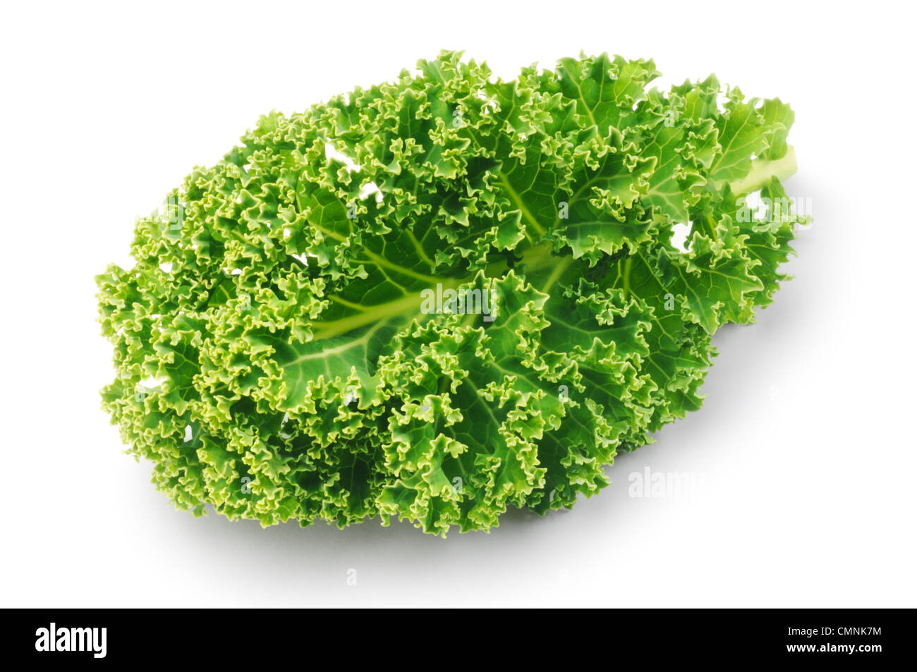 Kale - John Gollop Stock Photo - Alamy