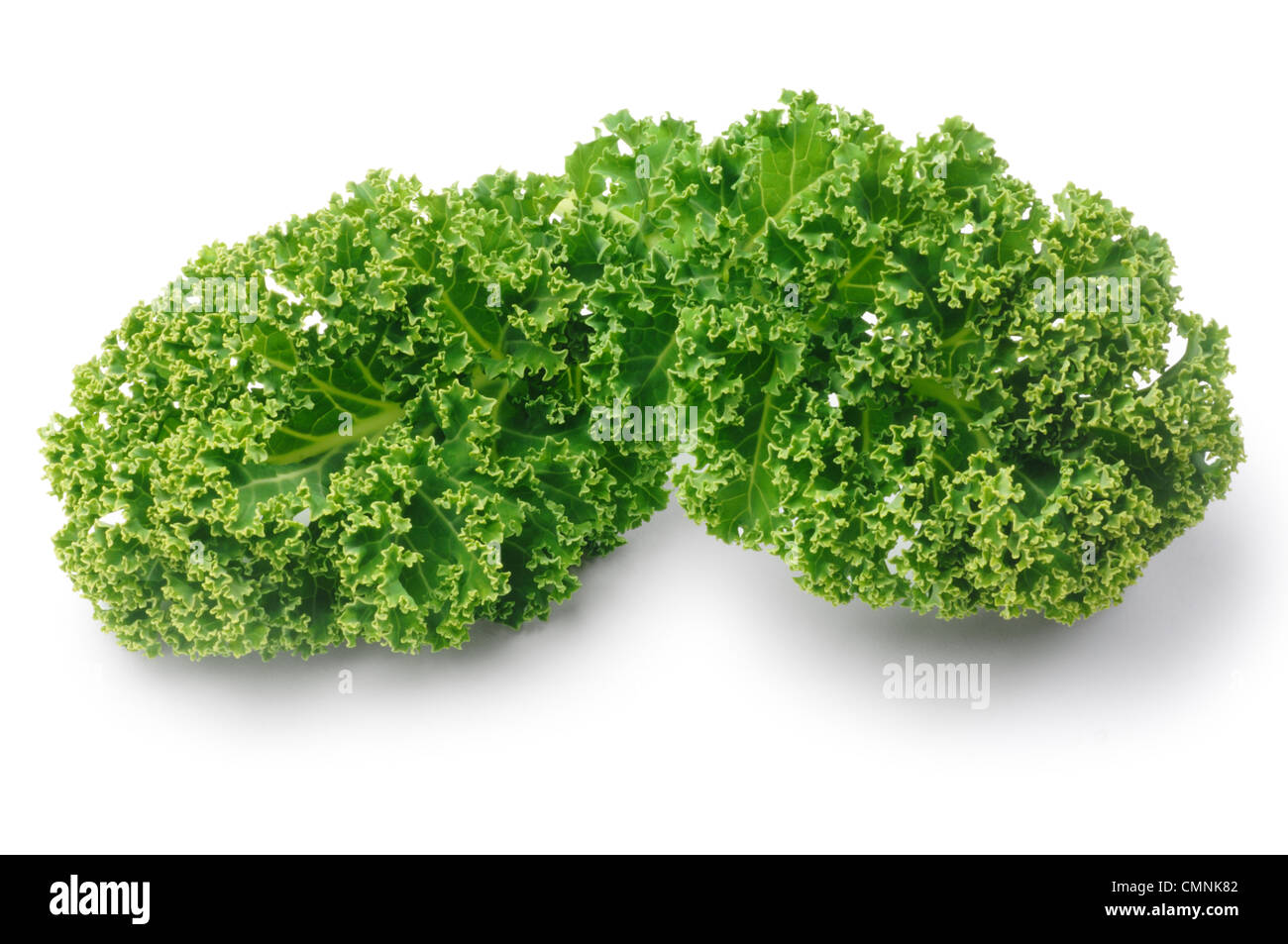 Kale - John Gollop Stock Photo - Alamy