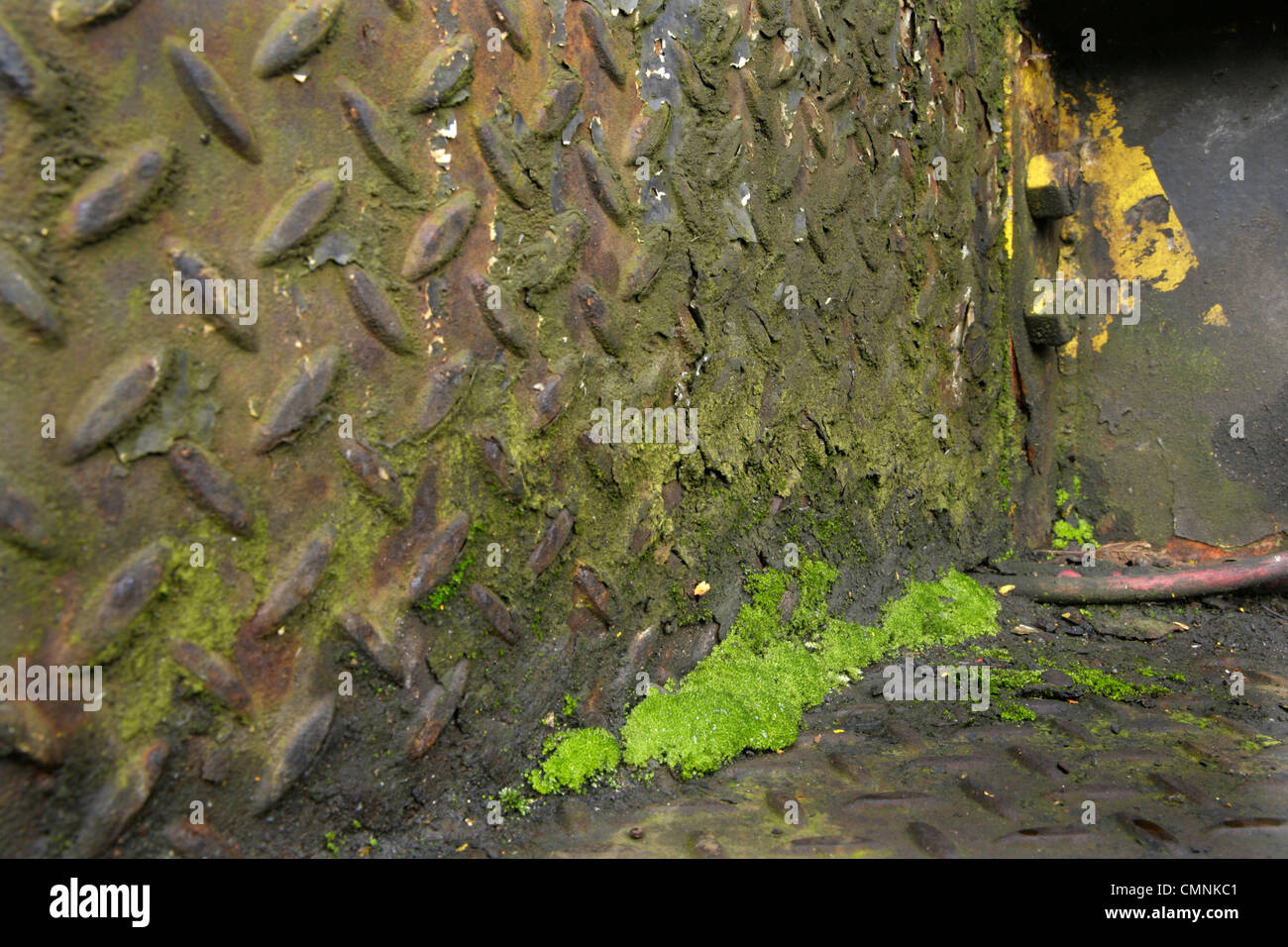 Checker checker plate hi-res stock photography and images - Alamy