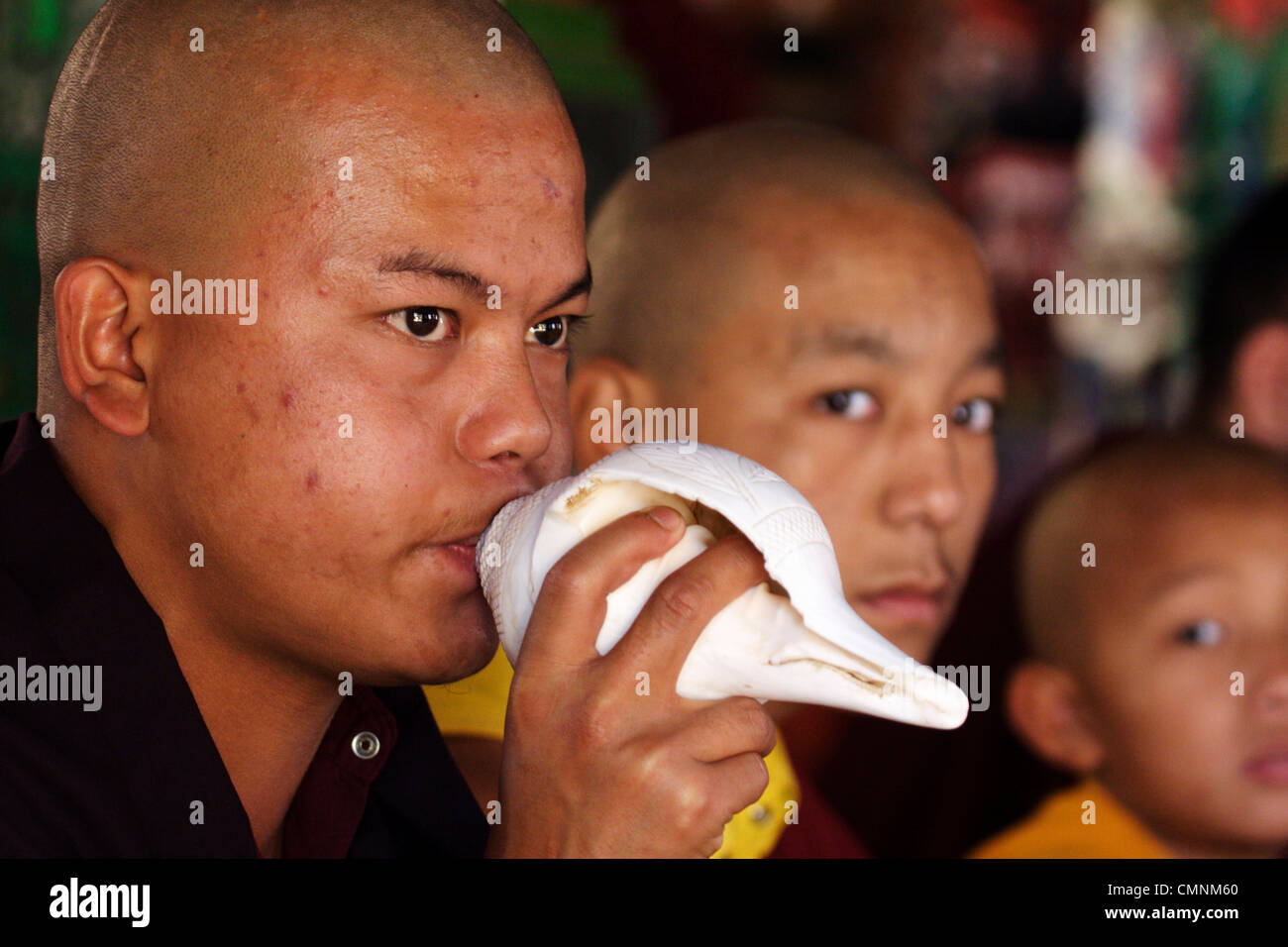 Conch shell india hi-res stock photography and images - Alamy