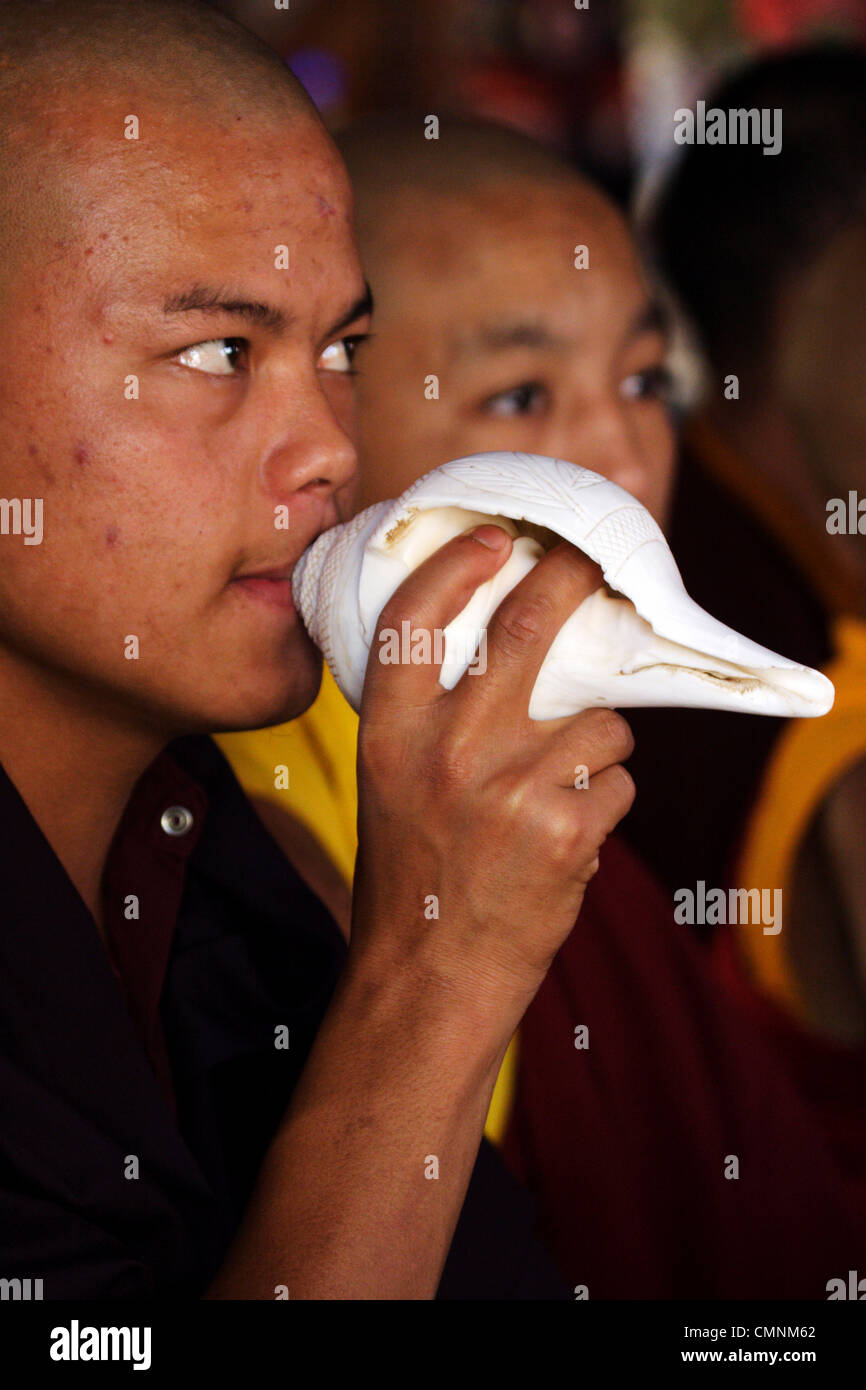 Conch shell india hi-res stock photography and images - Alamy