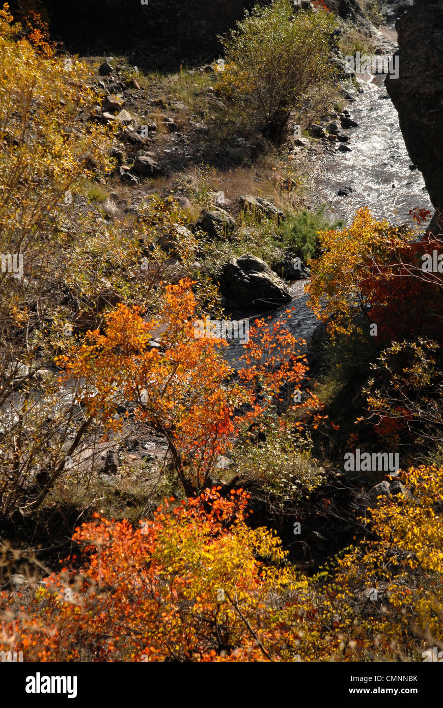 the colors of fall by a small spring in turkey Stock Photo - Alamy