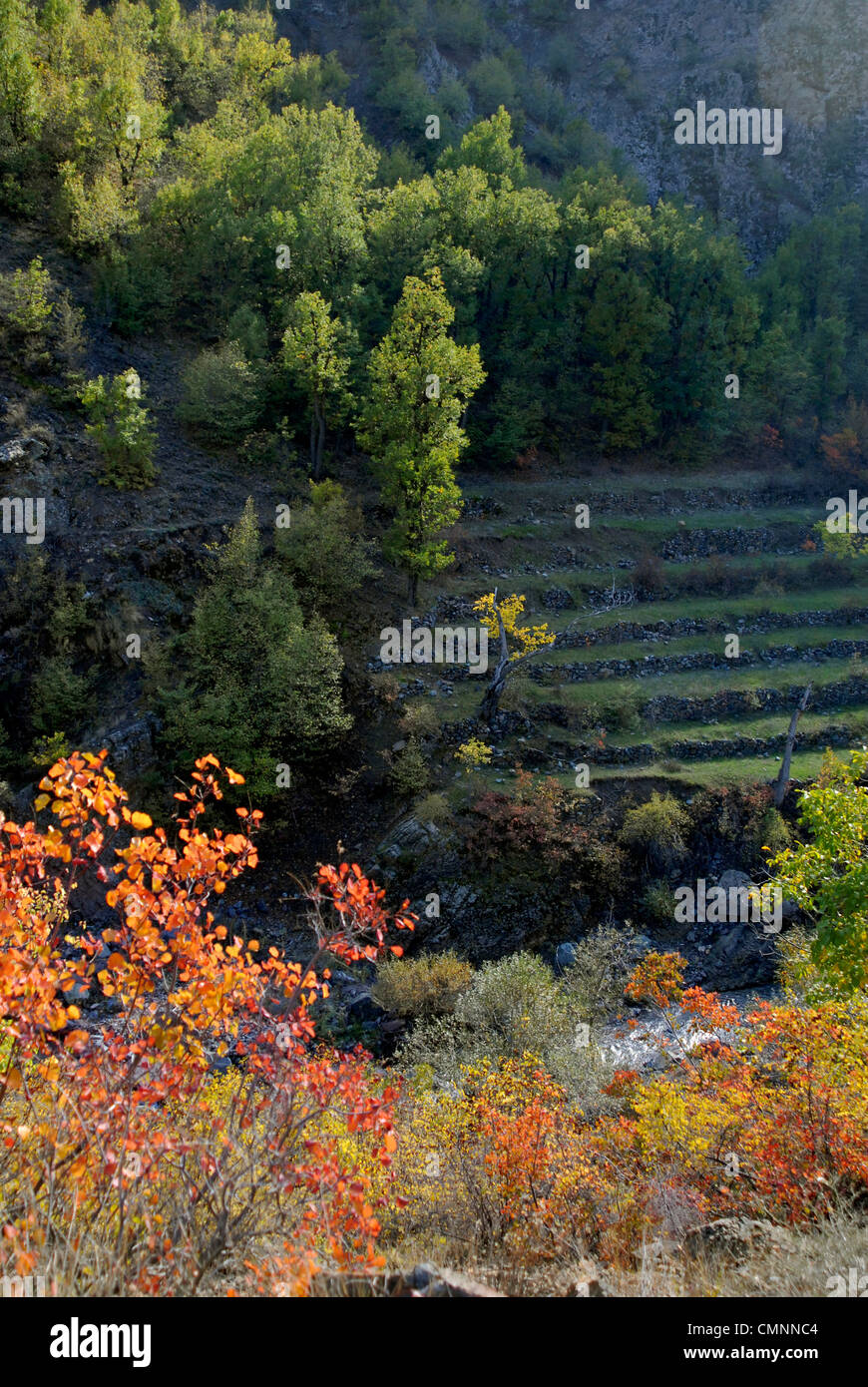 mountain terrace scene in the Kackar mountains Stock Photo - Alamy
