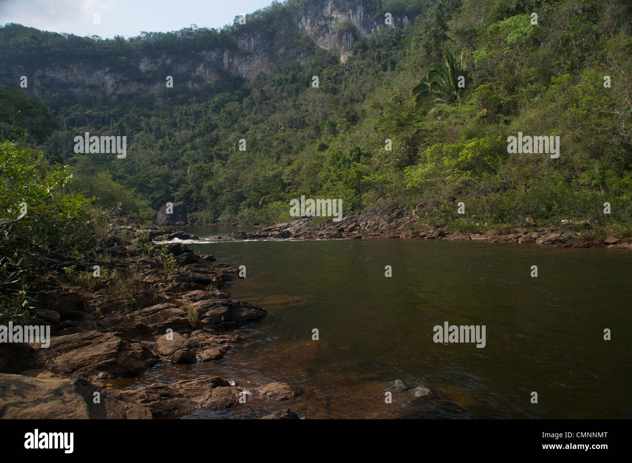 Macal River, Belize Stock Photo - Alamy