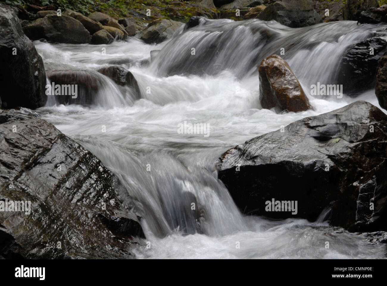 Small stream with rocks and waterfalls Stock Photo - Alamy